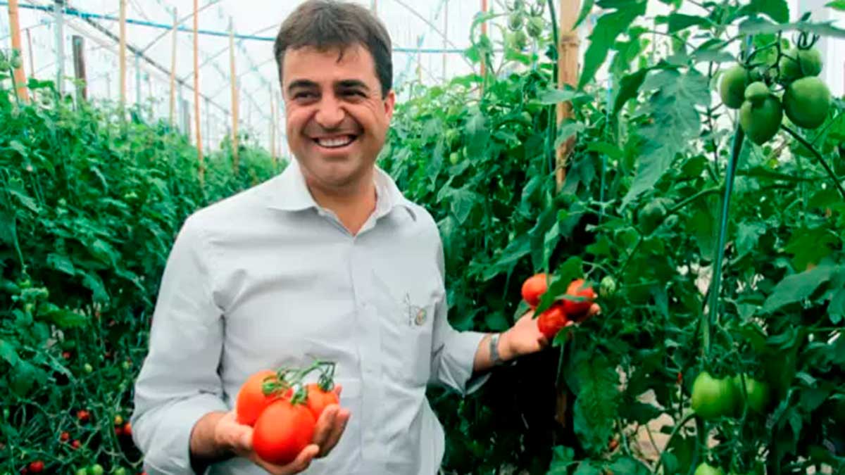 Trebeschi vai produzir tomates orgânicos na Ibiapaba - TrendsCE